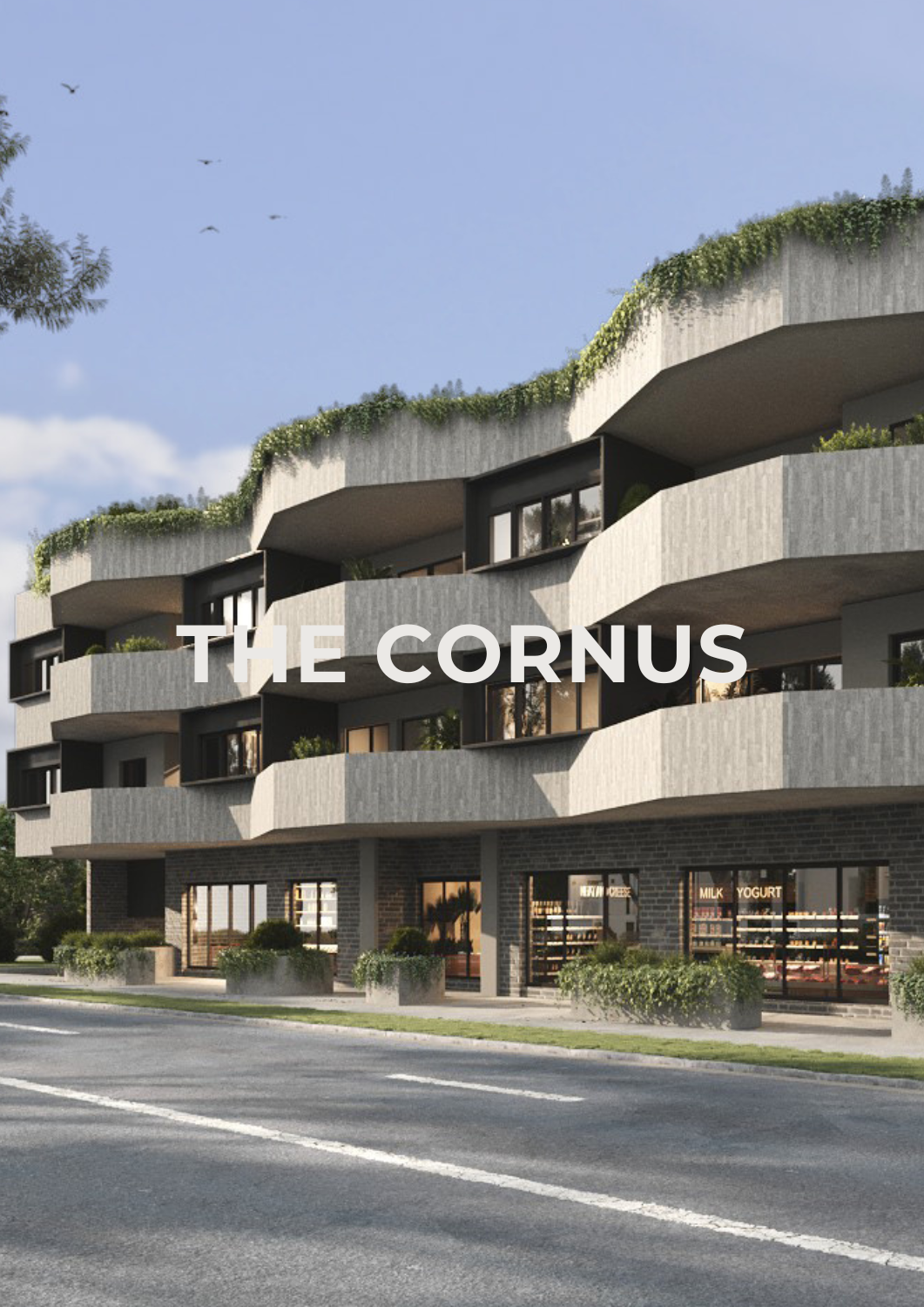 About Cornus Developments